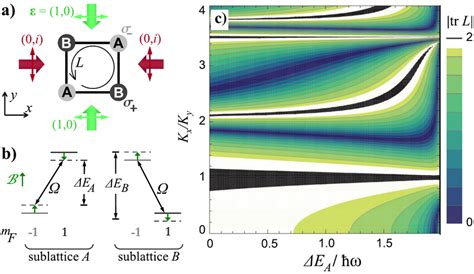 Color Online Non Abelian Su 2 Gauge Fields From Lattice Shaking