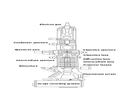 Transmission Electron Microscopeppt Ppt