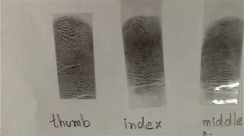 დაკვირვება Youtube