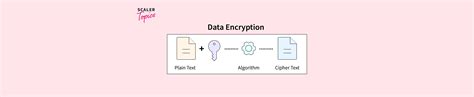 What Is Data Encryption Scaler Topics