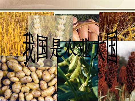 第1课精耕细作农业生产模式的形成 word文档在线阅读与下载 无忧文档