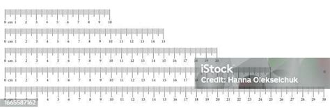 10 15 20 25 30 센티미터의 컬렉션 측정 차트 길이 측정 수학 거리 높이 재봉 도구 벡터 그림입니다 템플릿 집합 눈금자는 숫자로 축척됩니다 Eps 아이콘입니다 0