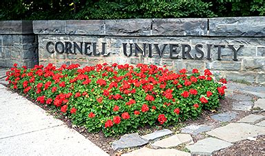 Tiny Robots With Brains Can Walk Autonomously Inside Your Body