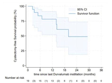 Eau 2024 Intravesical Administration Of Durvalumab To Patients With High Risk Non Muscle