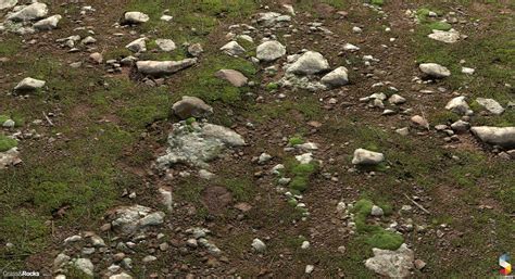 Scanslibrary Scanslibrary Added A New Photo