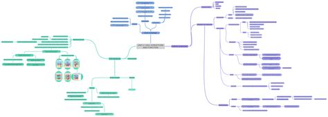 unit 2 cell structure and function coggle diagram