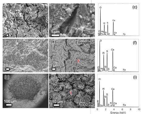 16 Sem Eds Analyses Of C Csa Cured For 28 Days Before Test Before Download Scientific Diagram