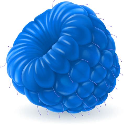 2 700 Blue Raspberry Stock Illustrations Royalty Free Vector Graphics And Clip Art Istock