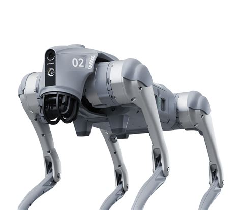 Empower Your Future With Ai Driven Robotics