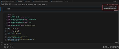 如何在vscode的ipynb文件中给单元格添加标题？ipynb怎么加标题 Csdn博客