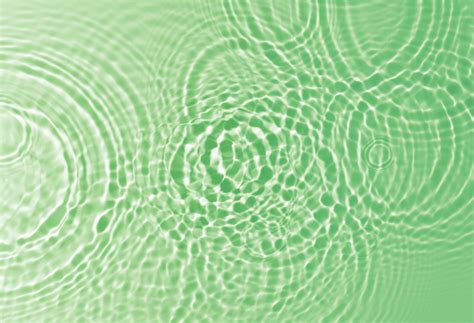 A Guide To Pool Algae