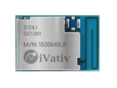 Multi Protocol Wireless Module