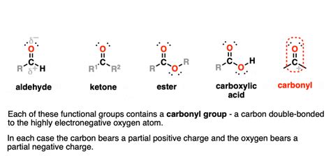 Ester Functional Group Examples
