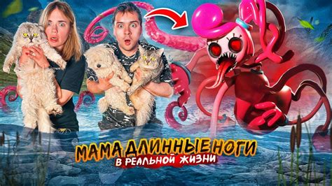 МАМА ДЛИННЫЕ НОГИ В РЕАЛЬНОЙ ЖИЗНИ 24 ЧАСА НА ЗАКОЛДОВАННОМ ПРУДУ С КОТОМ И СОБАКОЙ Youtube