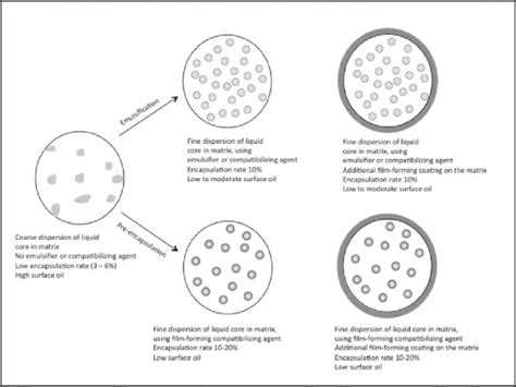 Schematic View Of Possible Encapsulation Morphologies Obtained Using