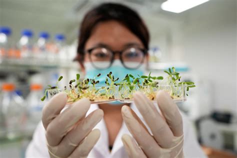 논밭을 시찰 중인 습근평 주석