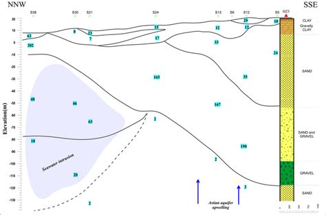 Geoelectrical Cross Section Oriented Nnw Sse With A Schematic