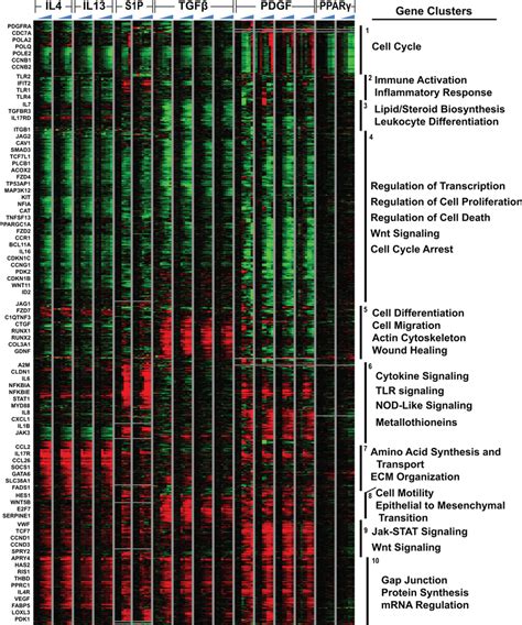 Clustering Of Pathway Regulated Genes Signatures Reveals Co Regulated