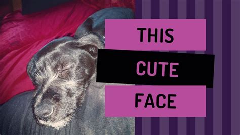 Slowing Things Down Youtube