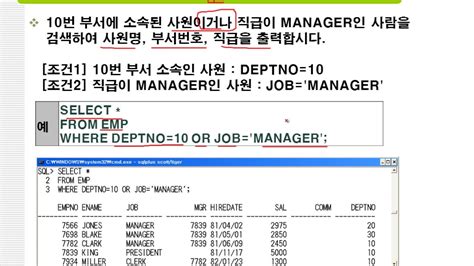 8강 Oracle 11g Sql 논리연산자 Between In오라클 Youtube