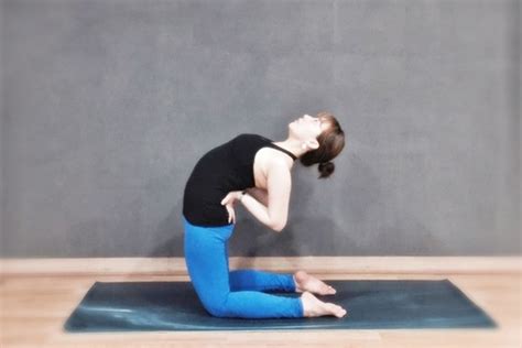 우스트라 아사나ustrasana 낙타자세 에스필라요가뉴스에 오신 것을 환영합니다