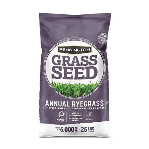 Annual Ryegrass 25 Lb 5000 Sq Ft Grass Seed Tiktok Shop