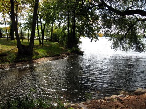 배경 화면 나무 경치 숲 강 황야 못 흐름 습지 가을 잎 빠른 작은 만 삼림지 서식지 자연 환 경