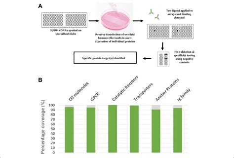 A Overview Of The Cell Microarray Technology More Than 5500 CDNAs Download Scientific