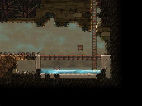 Pip Stuck In Or Near Water Oxygen Not Included Spaced Out Klei