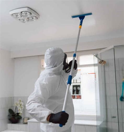 How To Remove Black Mould From Silicone Sealant Mouldmen