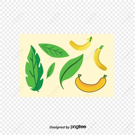 나뭇잎이 바나나 일러스트녹색 잎과일노랑 Png 일러스트 무료 다운로드 Lovepik
