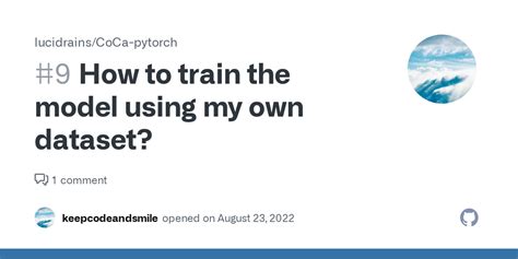 How To Train The Model Using My Own Dataset · Issue 9 · Lucidrains