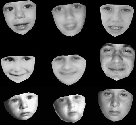 4 Active Appearance Model Scheme Download Scientific Diagram