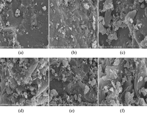Scanning Electron Microscopic Photos Of Surface Modified Tio2 A