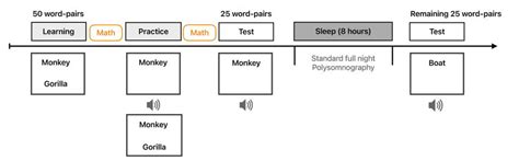 Schematic Of Experimental Design A Participants Learned 50