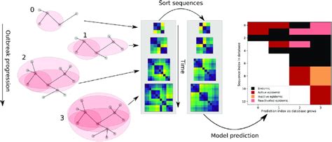 Cartoon Representation Of The Evaluation Of Hiv 1 Genetic Data In A Download Scientific Diagram