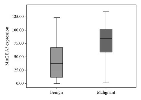 Ihc Quantitative Analysis Showing Different Staining Between Benign And Download Scientific