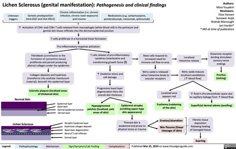 Lichen Sclerosus Calgary Guide