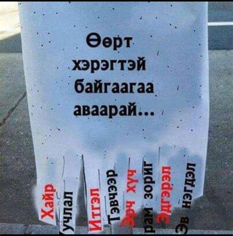 Өөрсөдөө хийж сурцгаая