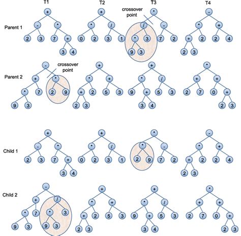 Modified Sub Tree Crossover Download Scientific Diagram