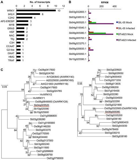 Pathogen Bipolaris Sorghicola Induced Genes Encoding Download Scientific Diagram