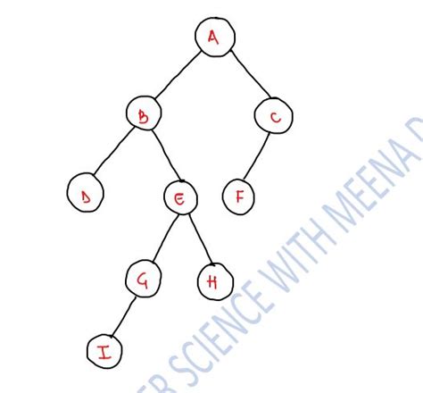 Datastructures Treedatastructure Binarytree Typesofbinarytrees Dsa