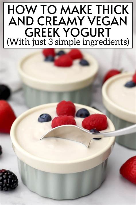 Greek Yogurt Recipe Stove Top Oven Method Ftuf