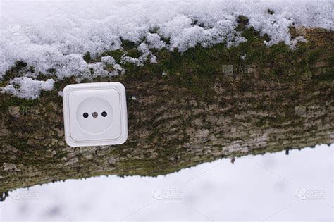 生态理念象征可再生能源生物能源