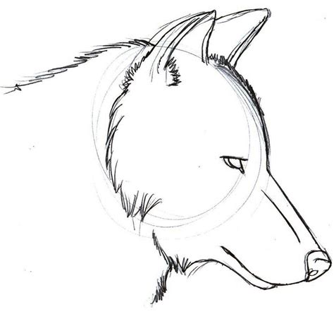 Wolf Drawing Easy At Explore Collection Of Wolf Drawing Easy