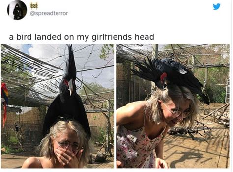 Hilarious Bird Posts That Were Too Good Not To Share
