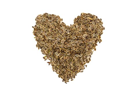 심장모양 딜 씨앗 닫습니다 연간 회 향 허브 또는 절 임 요리에 향신료로 사용 Generic에 대한 스톡 사진 및 기타 이미지 Generic 건강관리와 의술 건강한