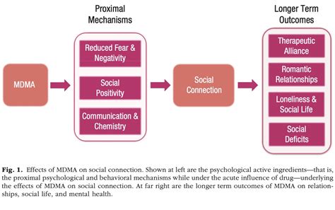 What Psychedelics Can Teach Us About Human Connection