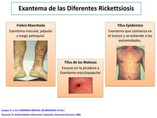Rickett Pdf