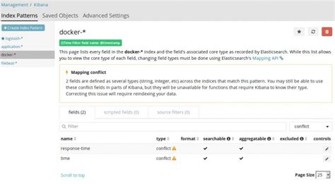 Confused Elasticsearch Refuses To Insert Data Due To Mapping Conflict